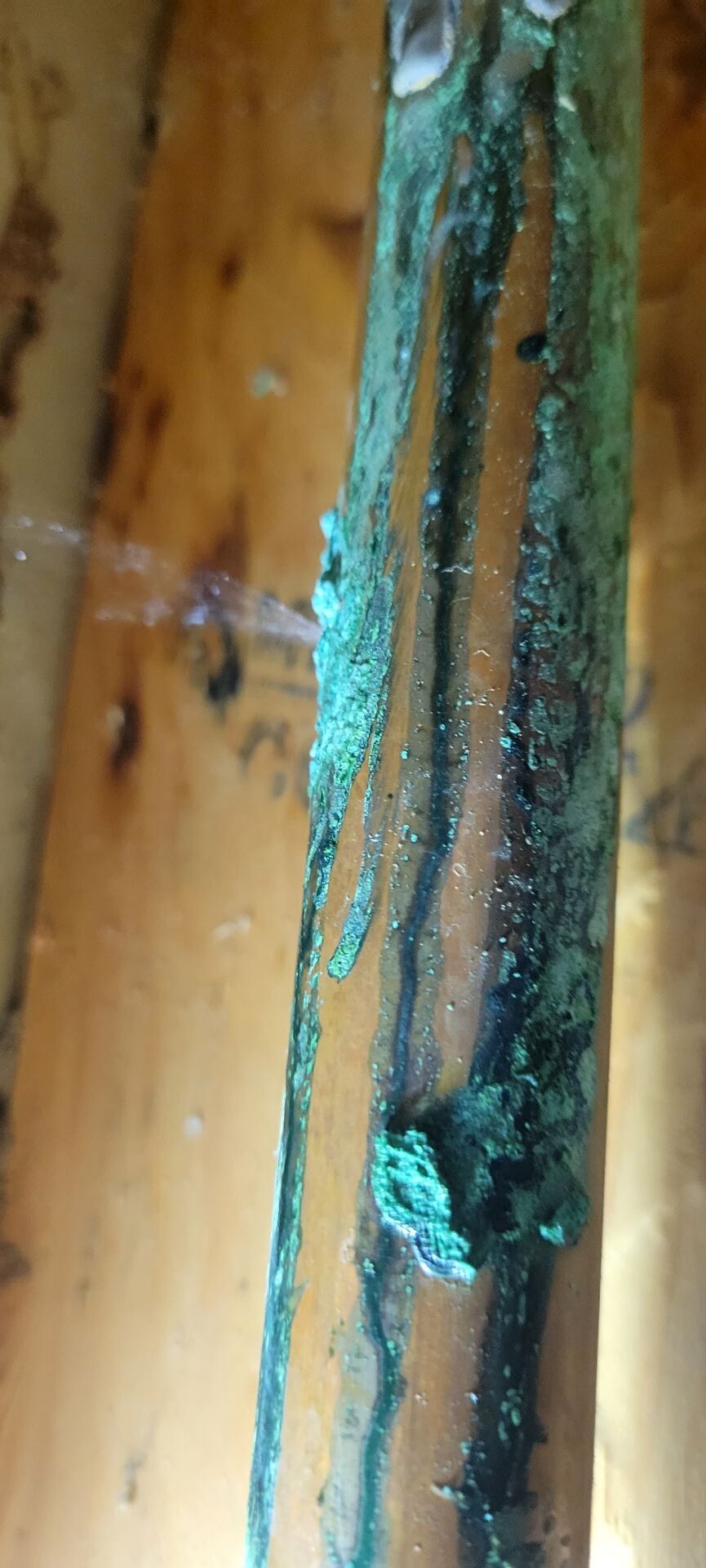 Plumbers in the East Valley - Home | Maga Plumbing